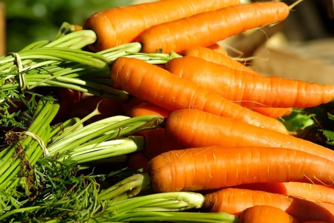 Colorful carrots get a new use, producing tracers to study the brain