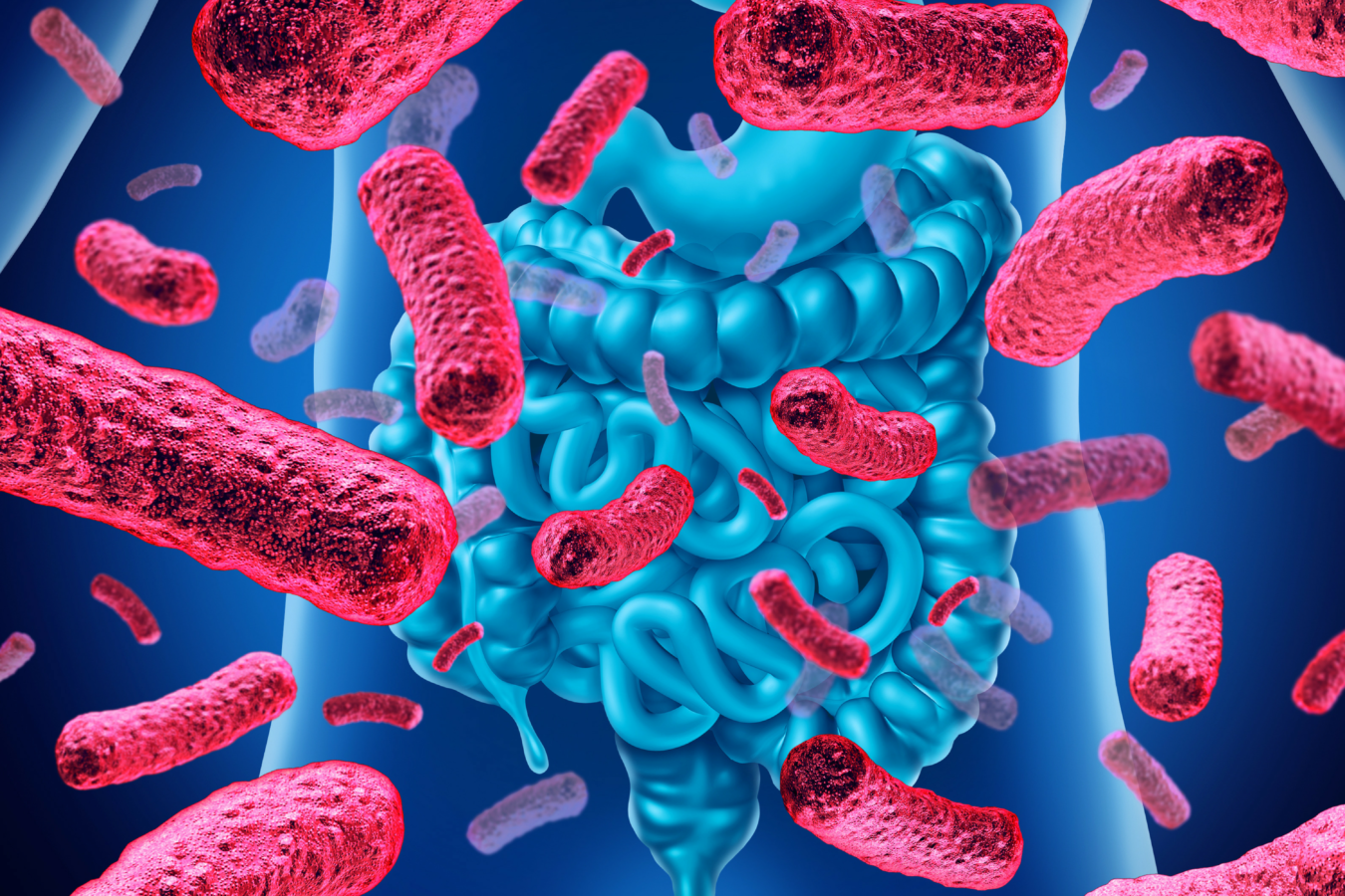 Omega-3 fatty acids may help increase colonic microbiota diversity