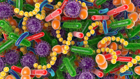 Advances in Nutritional Microbiology: From Fundamental Microbiome ...