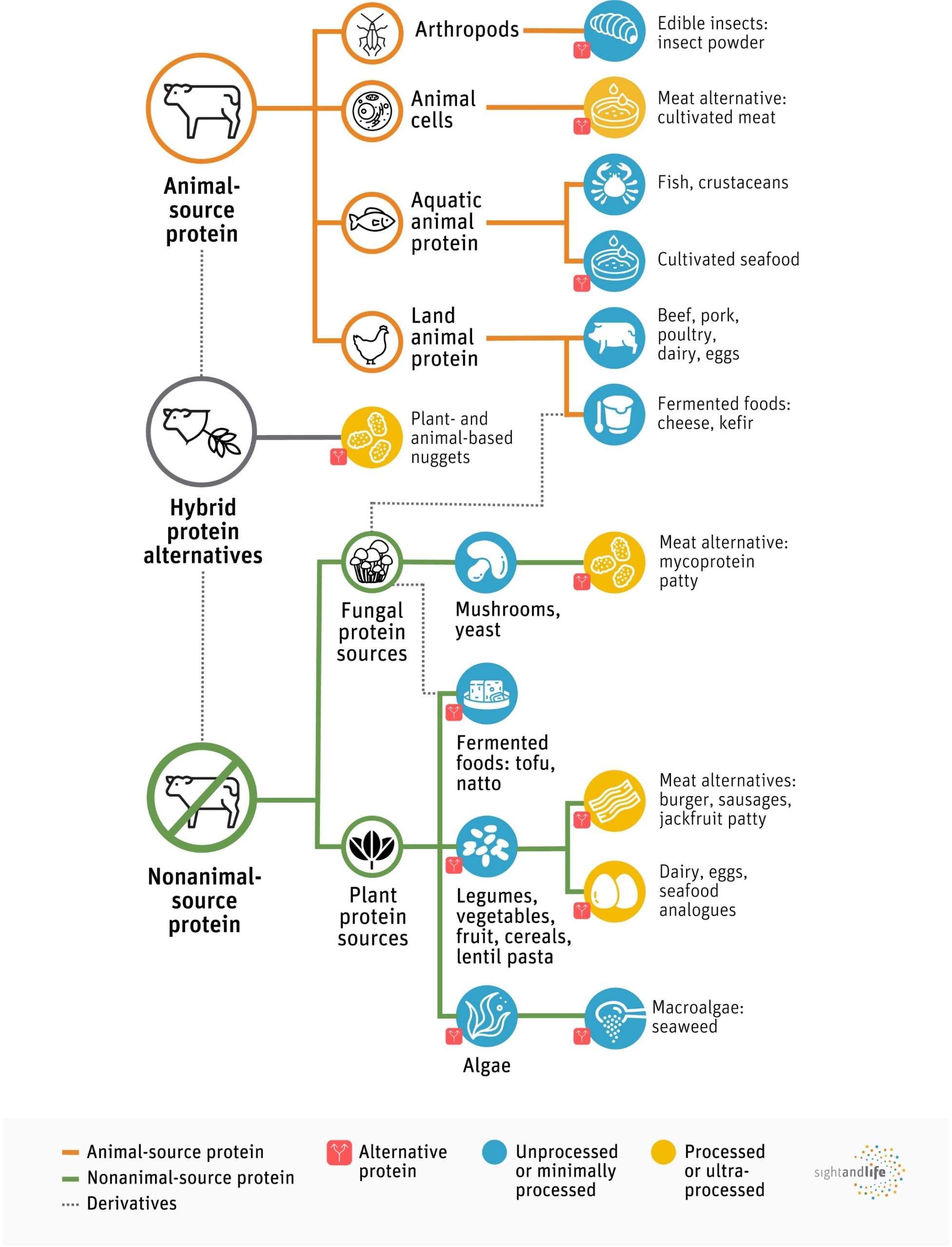 Alternative Proteins for Low- and Middle-Income Countries